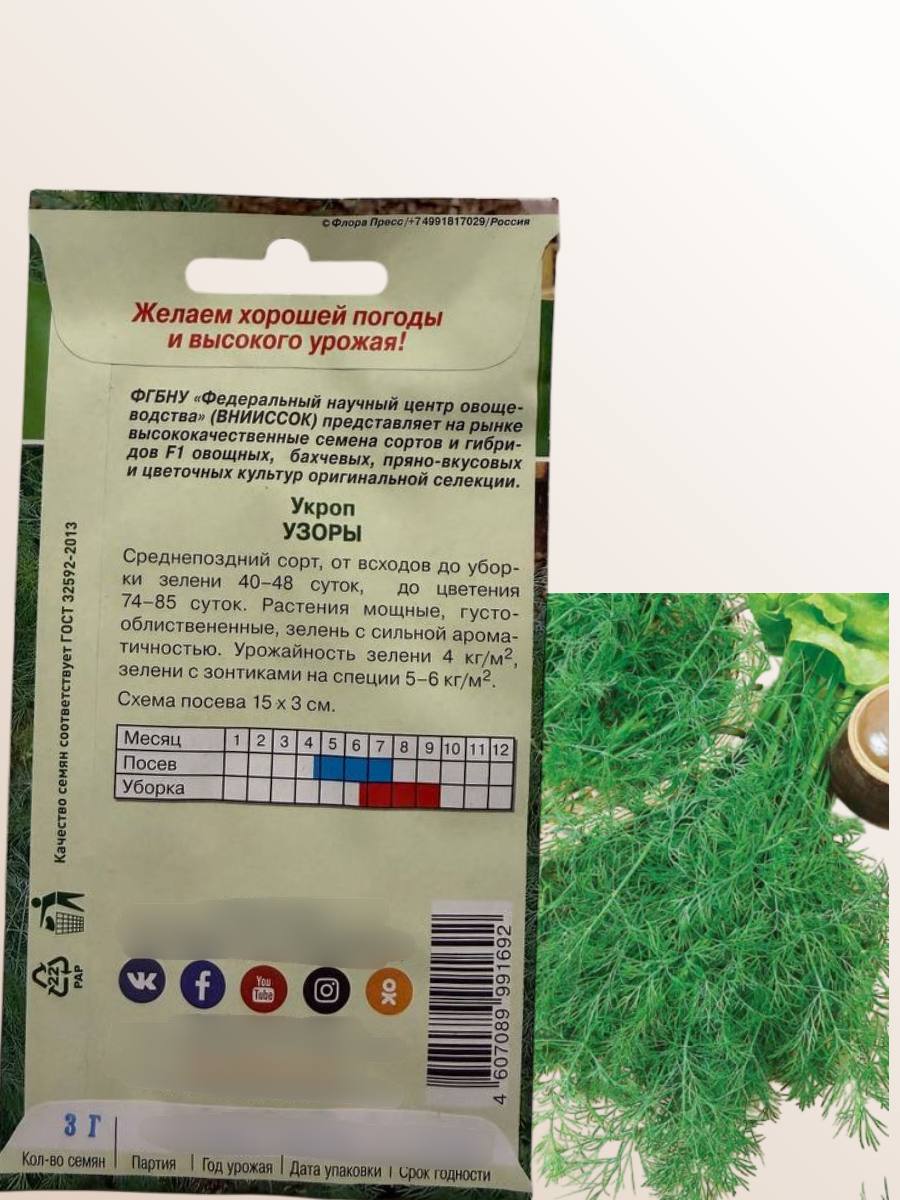 Укроп Узоры 3г, семена — фото 1
