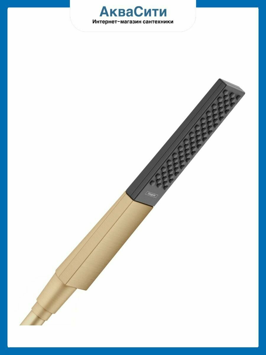 Душевая лейка Hansgrohe Rainfinity 26866140