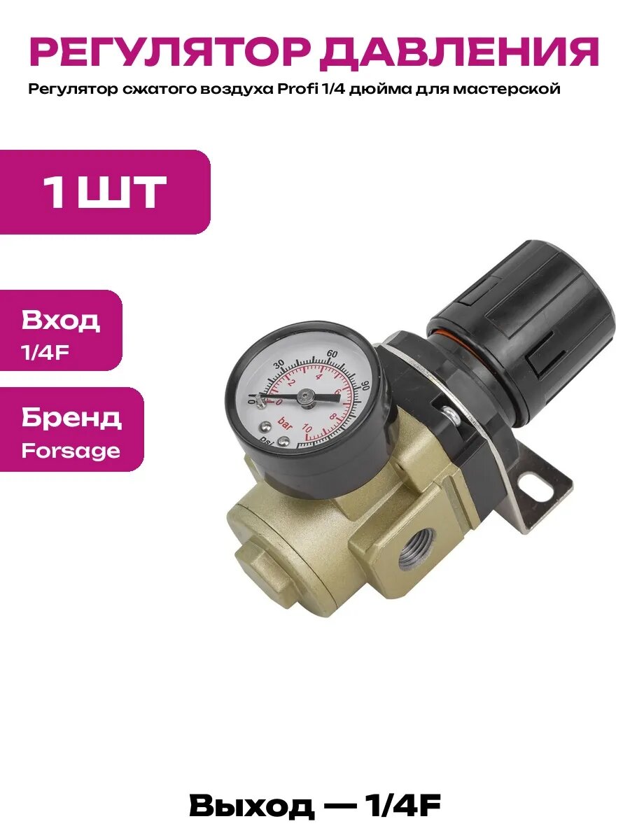 Редуктор для пневмоинструмента Profi 1/4 0-10 bar F-AR3000