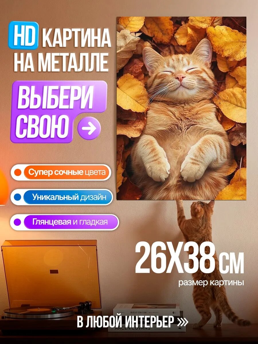 Картина на HD металле Рыжий кот осенью
