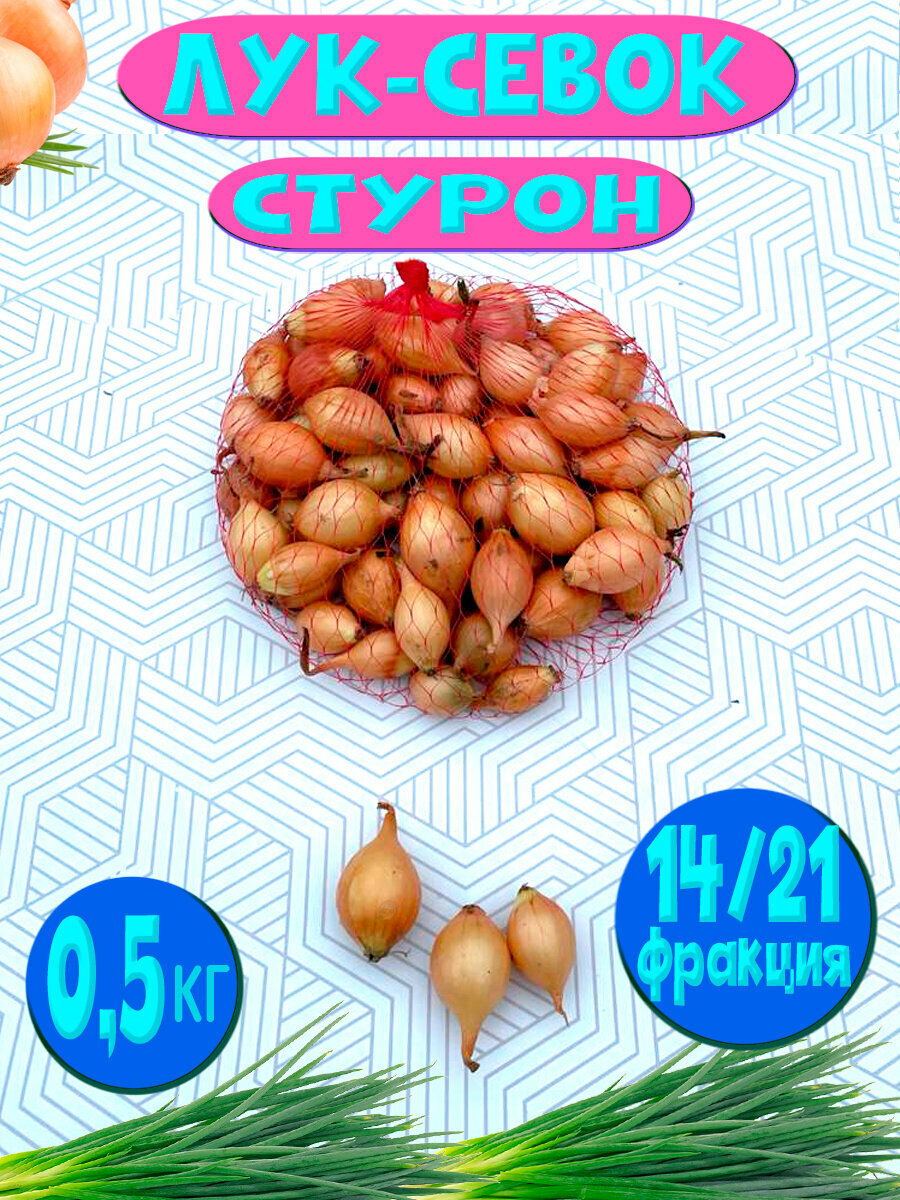 Лук севок Стурон, 0.5 кг
