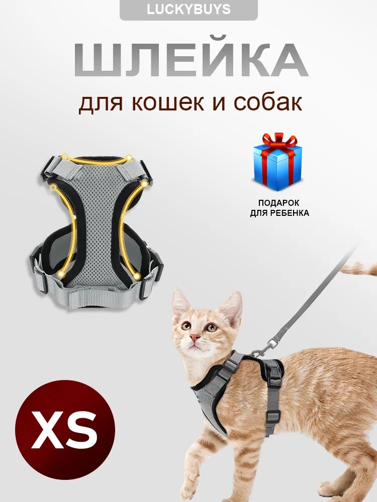 Шлейка для кошек и собак мелких пород, анатомическая, с поводком