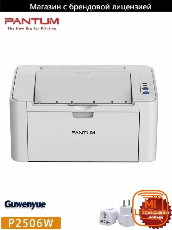 Pantum МФУ Принтер лазерный Pantum P2506W A4 WiFi серый, чёрно-белая-x, черный