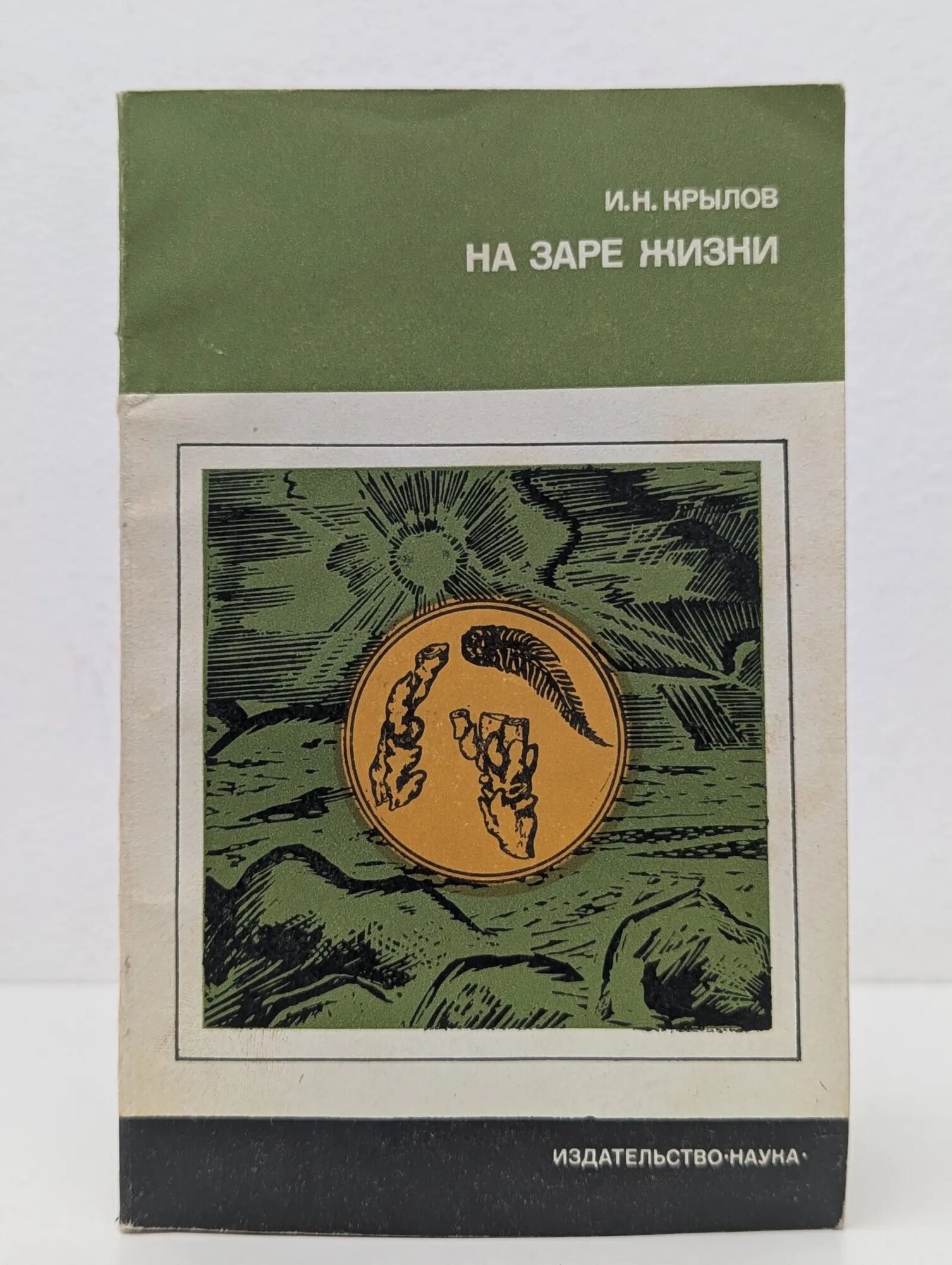 На заре жизни Крылов Игорь Николаевич 1972