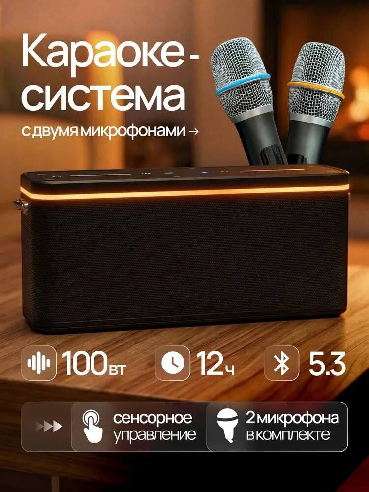 Караоке система с двумя микрофонами