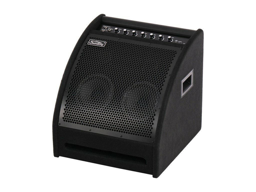 Soundking DS200 Монитор для электронной ударной установки, 200Вт