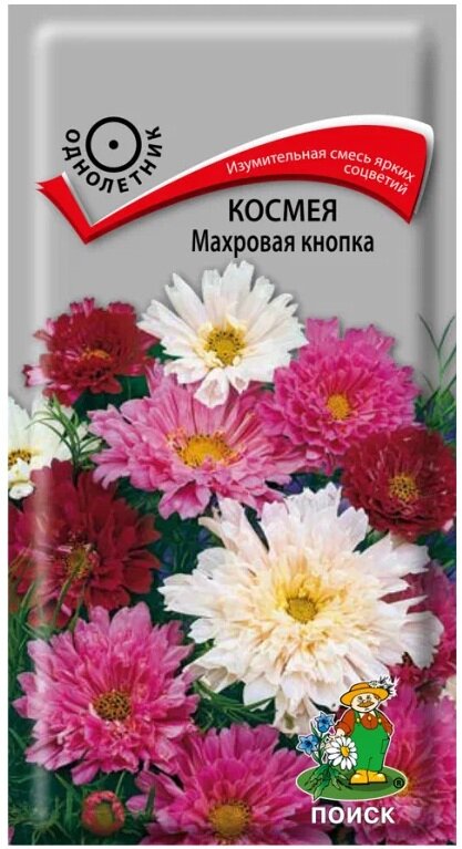Семена космеи поиск Махровая кнопка, смесь, махровая, 0.1 г
