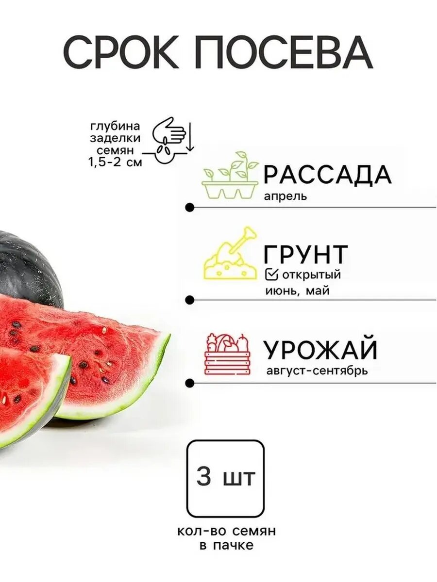 Ранний Арбуз Уральский Скороспел, набор 5 шт