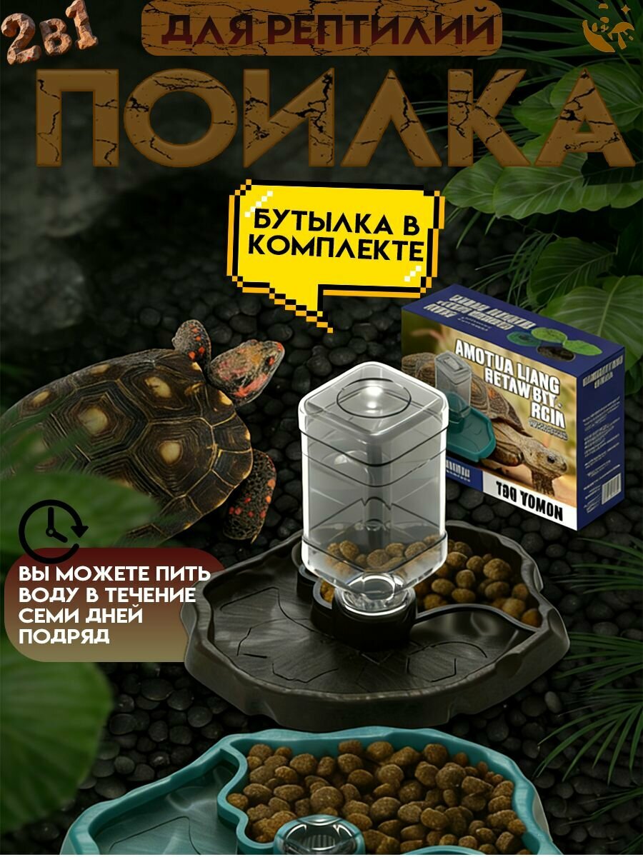 Поилка автоматическая для рептилий, эублефаров, бананоедов / Декорация в террариум