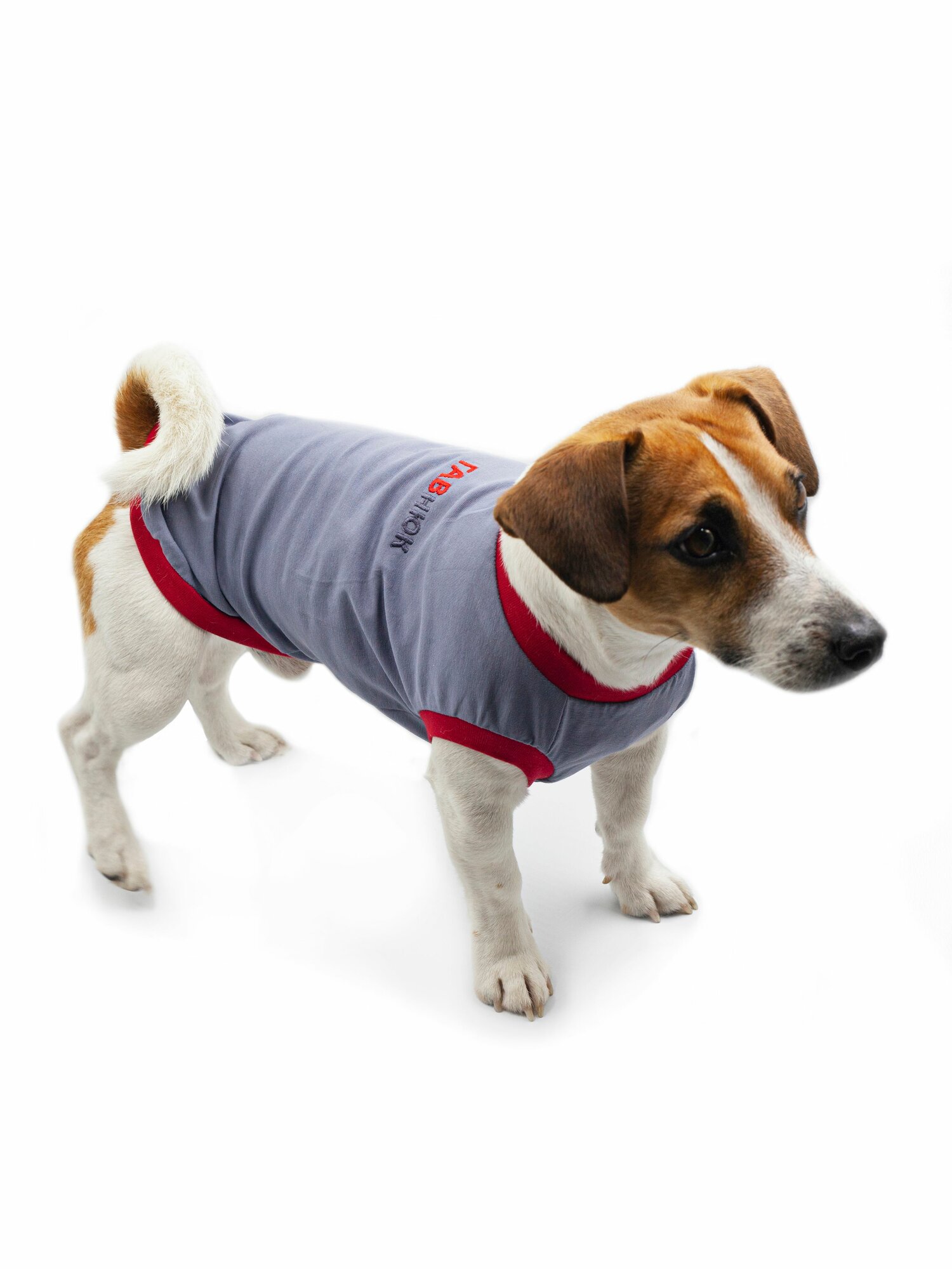 Майка "ГАВнюк" на Цвергпинчера