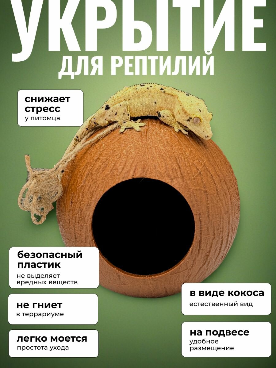 Подвесное укрытие Кокос для террариума, размер L