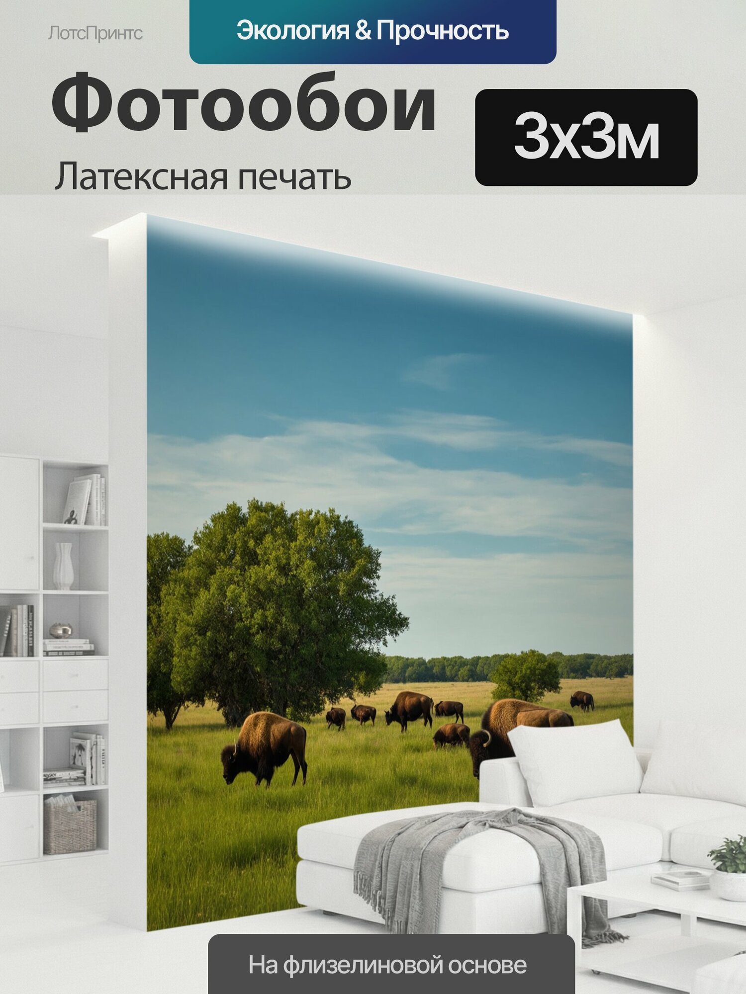 Фотообои моющиеся ударопрочные "Охота: бескрайние зеленые поля с густыми редкими деревьями, среди которых мирно пасутся бизоны. небо просто." 300x300 см. латексная печать