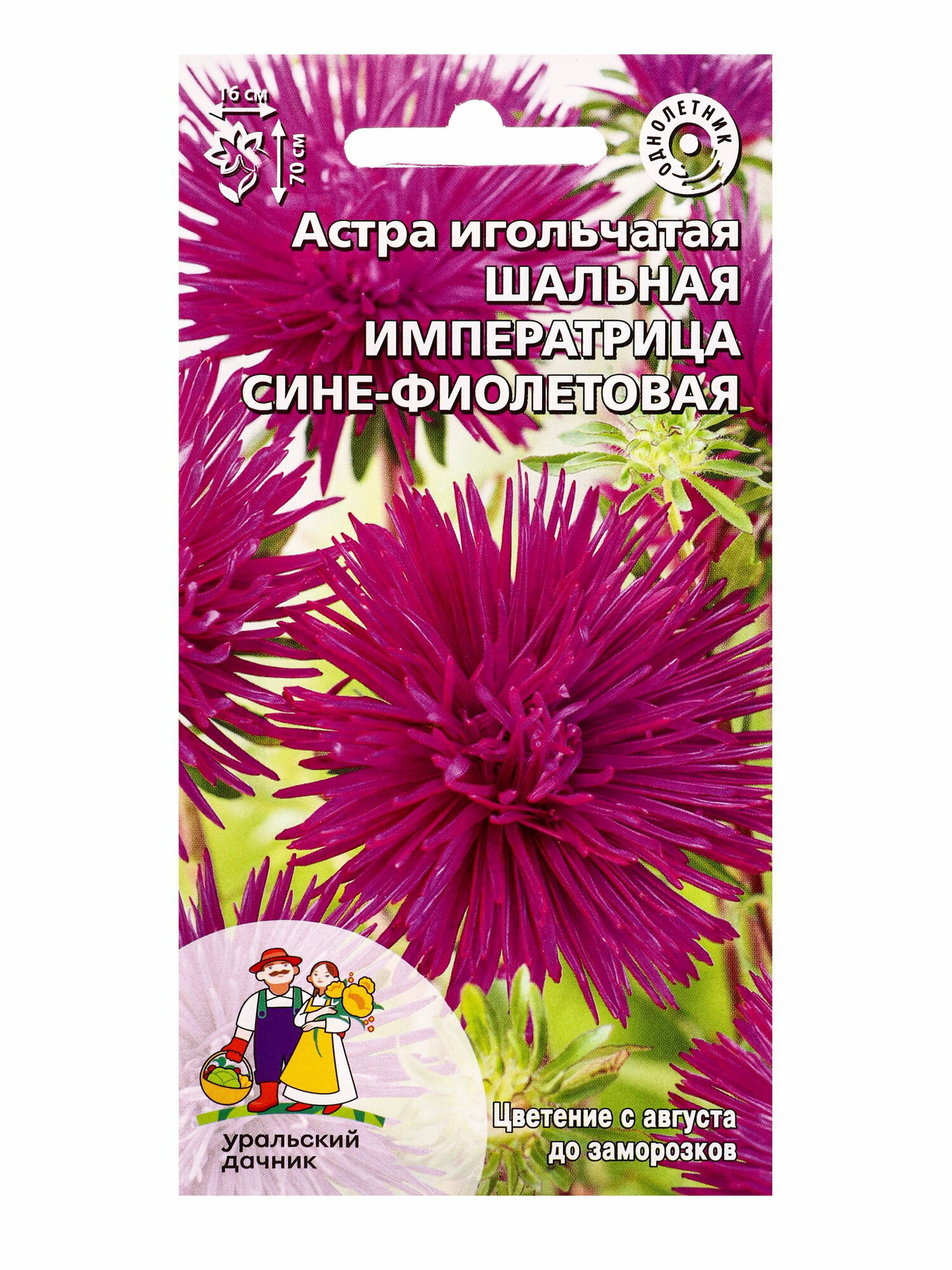 Семена Цветы Астра игольчатая "Шальная Императрица" сине-фиолетовая, 0.2 г