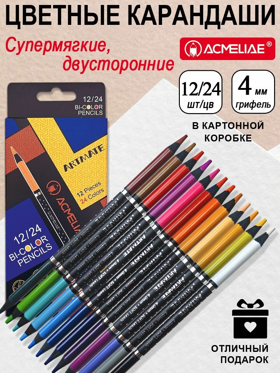 Набор цветных двусторонних карандашей Blackwood Artmate 12шт на 24 цвета в картонном футляре