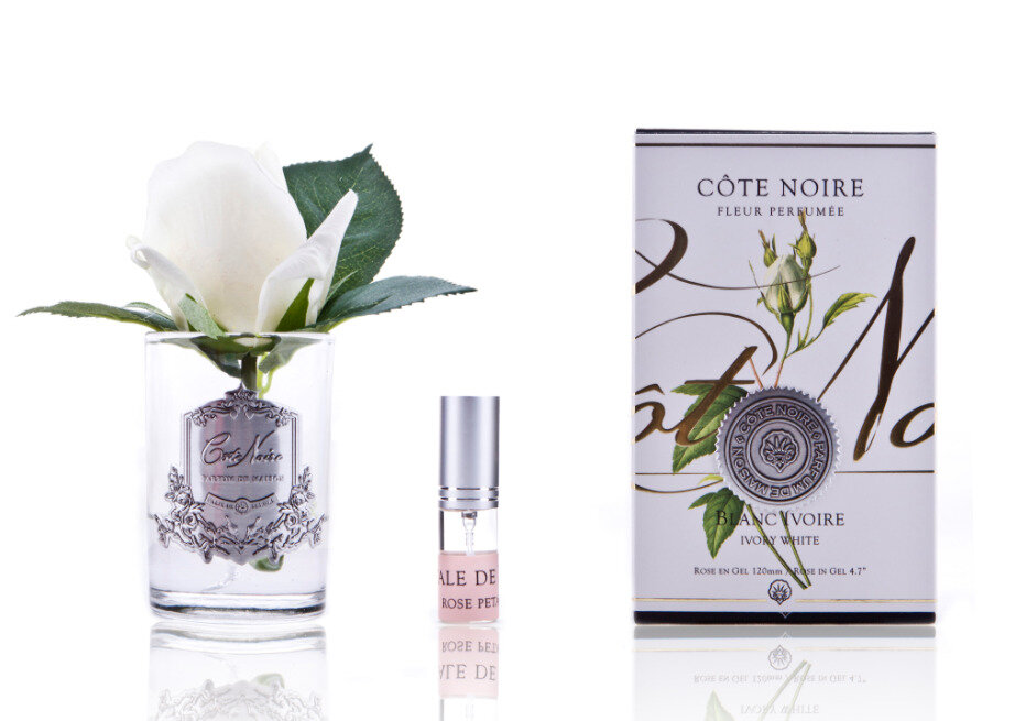 Ароматизированная роза Cote Noire ROSE BUD ivory