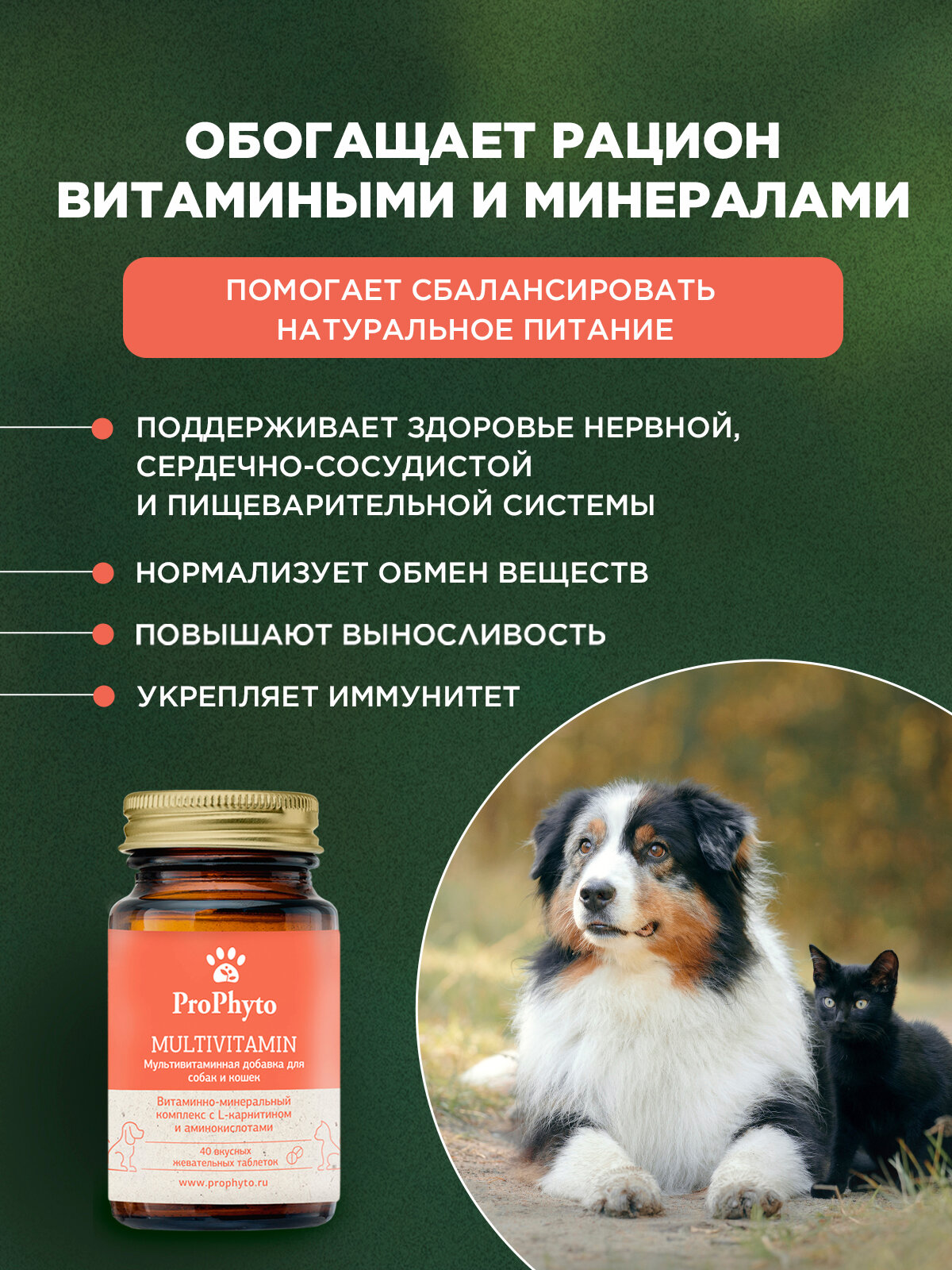 Витамины для собак и кошек ProPhyto Мультивитамин для общего здоровья, 40 таблеток — фото 1