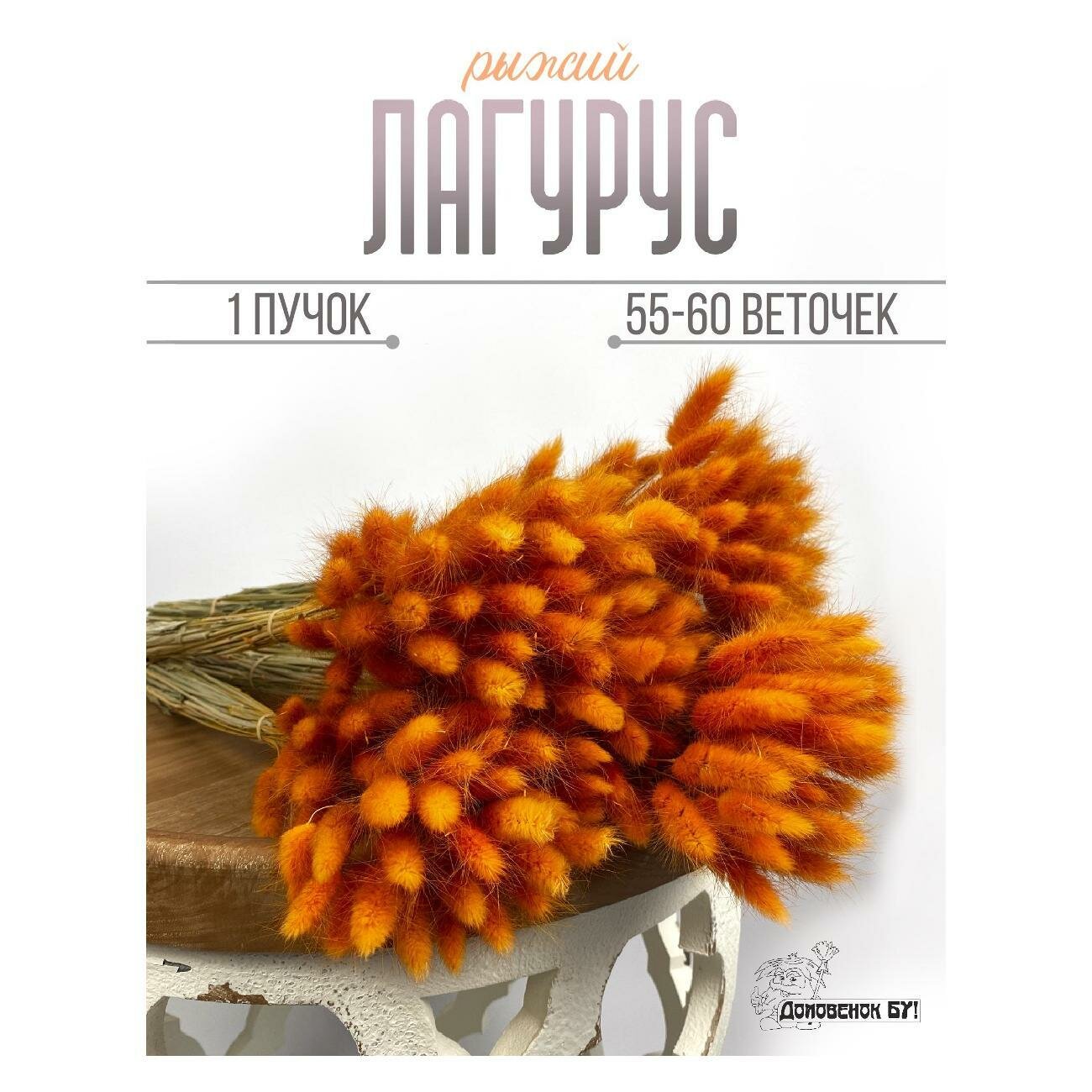Сухоцвет Домовенок БУ Сухоцвет для декора Лагурус рыжий