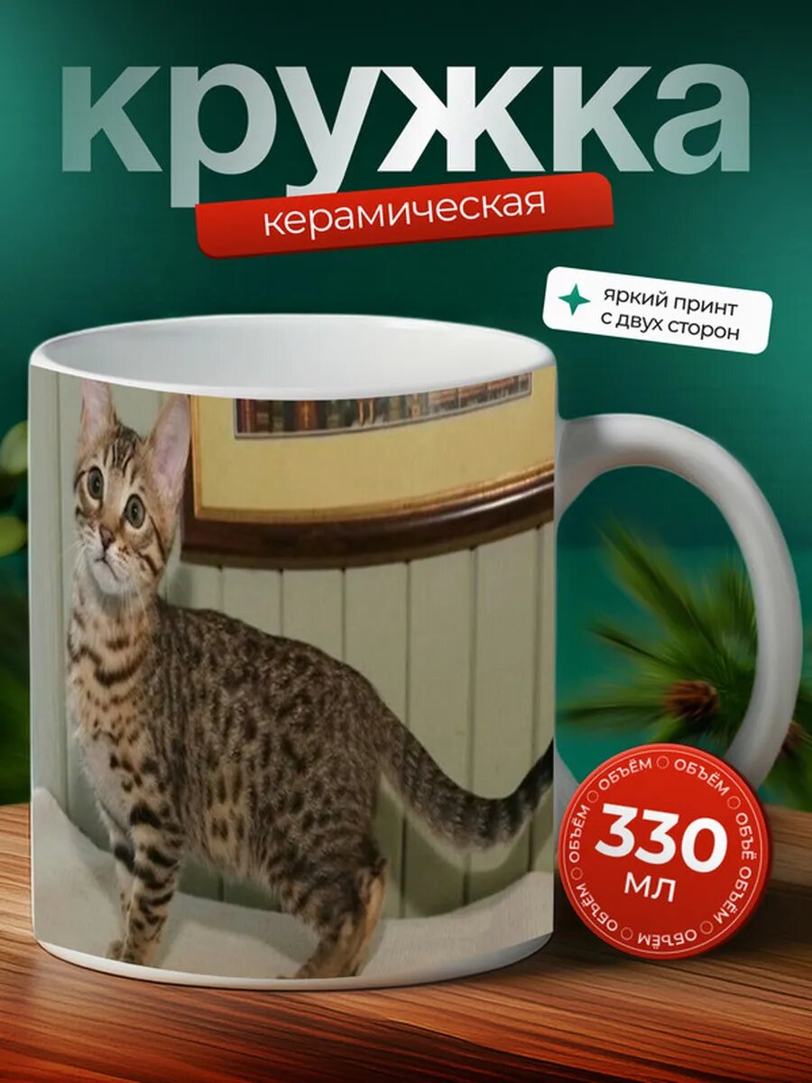 Кружка Серенгети кот 20,