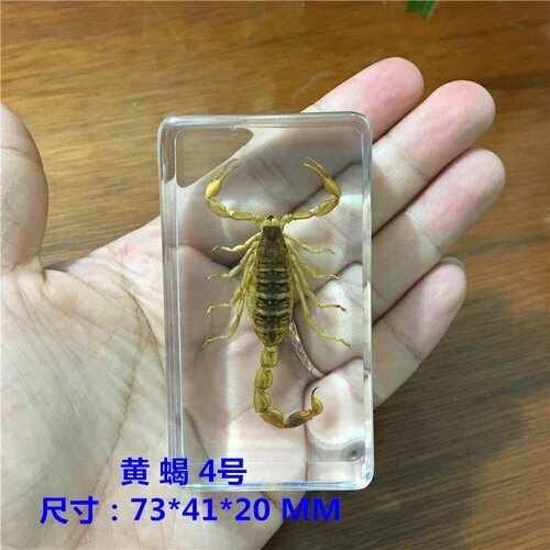 Статуэтка скорпиона из смолы Yellow Scorpion 4