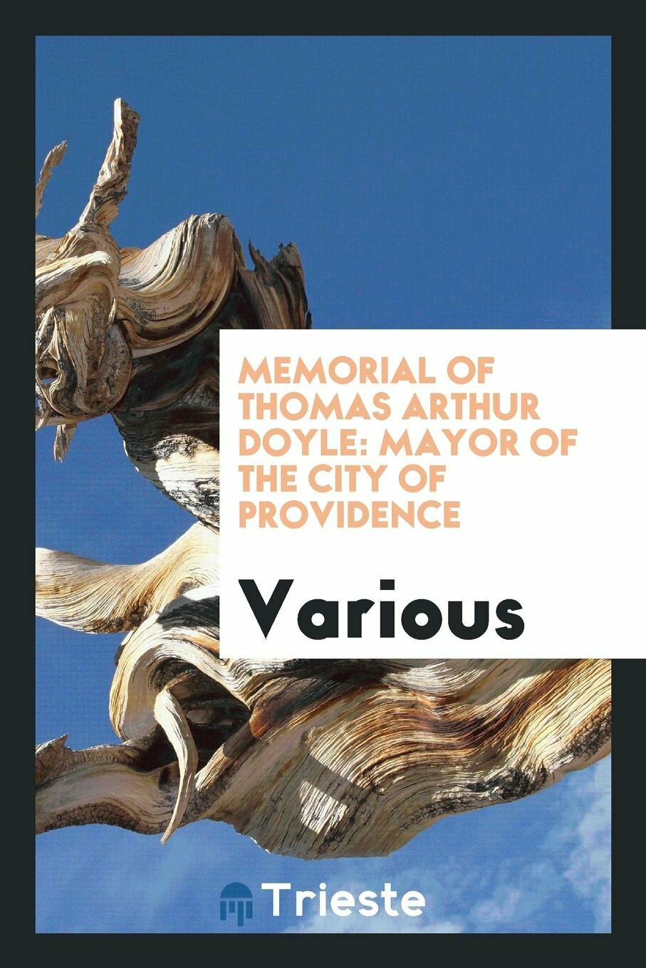 Memorial of Thomas Arthur Doyle. Mayor of the City of Providence