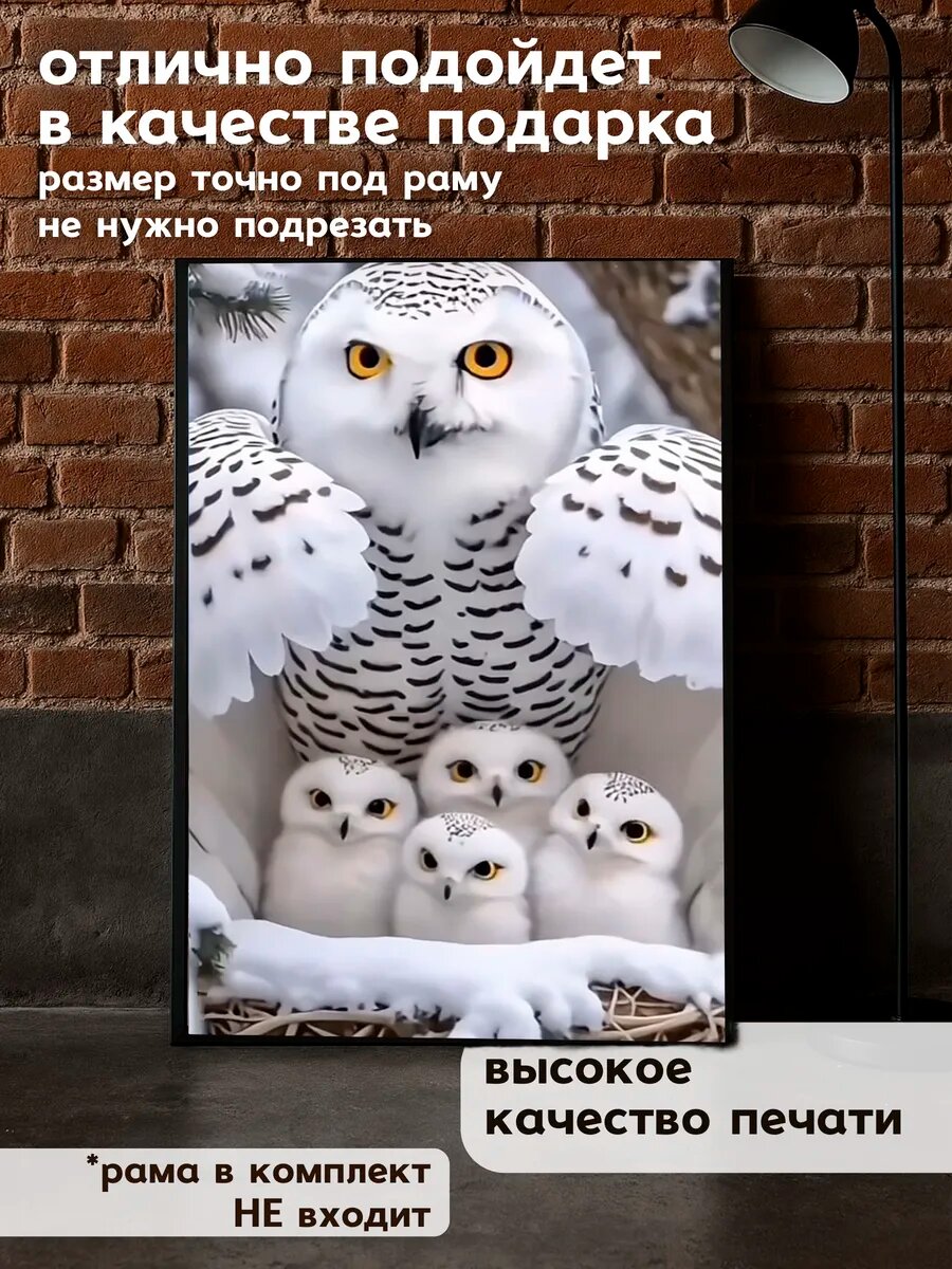 Постер для интерьера 40х60 — фото 1