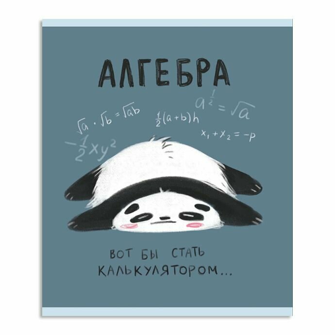 Предметная тетрадь алгебра 48 листов "Панда", в клетку