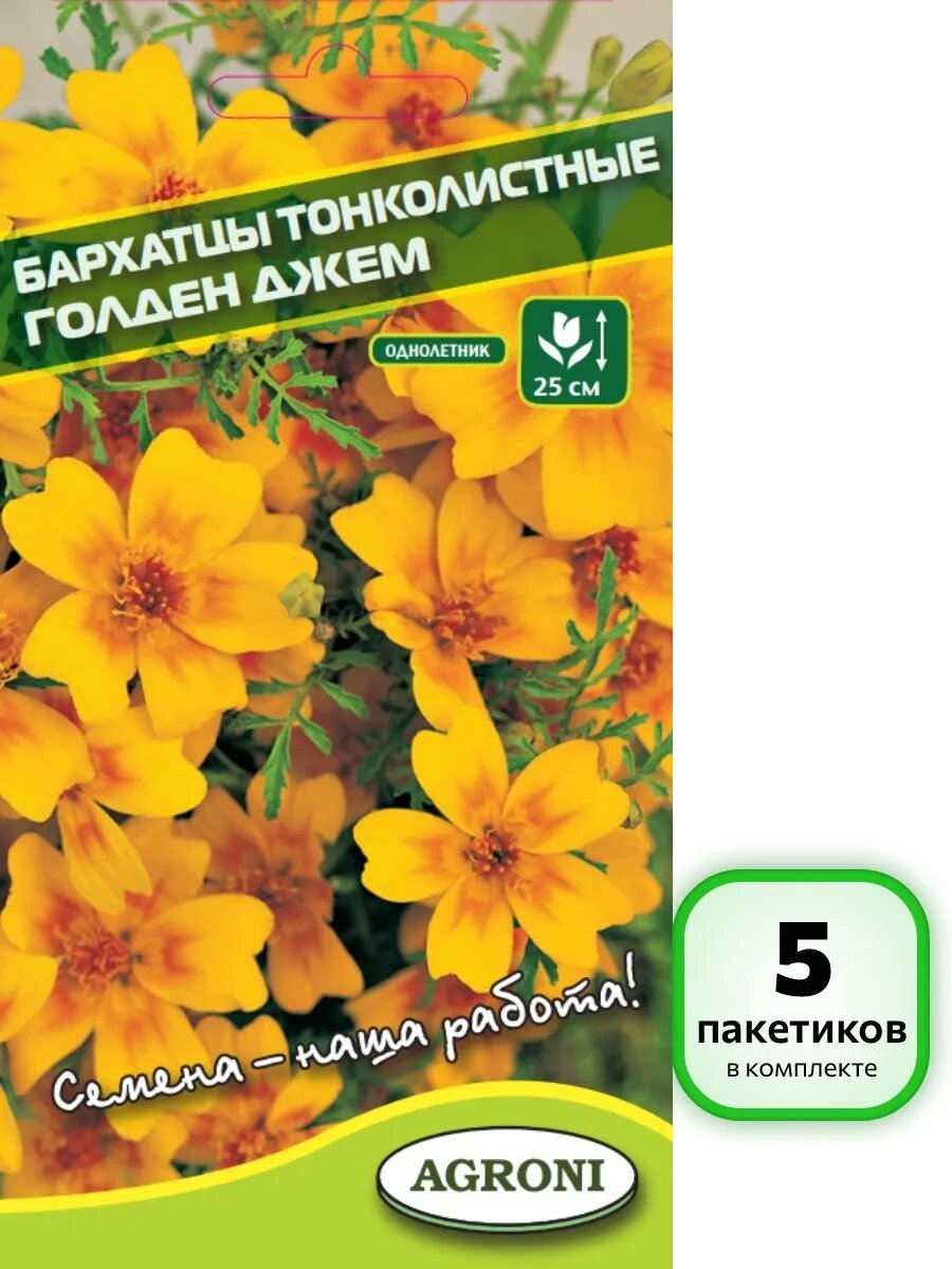(5 шт.) - Семена Тагетес тонколистный Голден джем (0,3г)