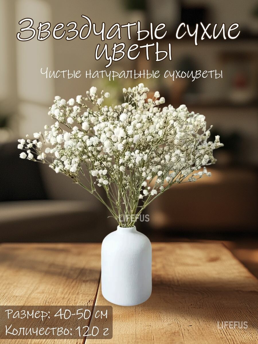 LIFEFUS Сухоцветы, 40 см, 120 гр, 1 шт