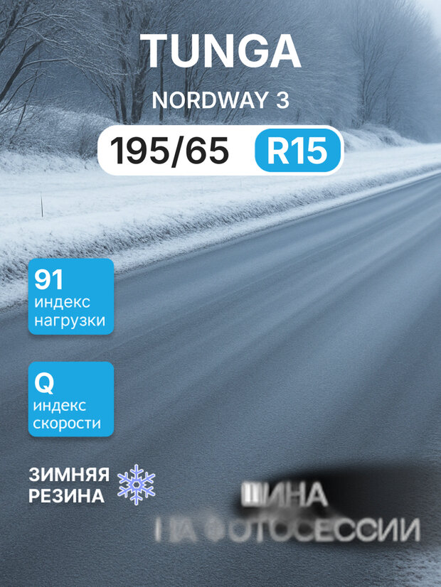 Зимняя шипованная шина TUNGA NORDWAY 3 195/65/15 Q 91