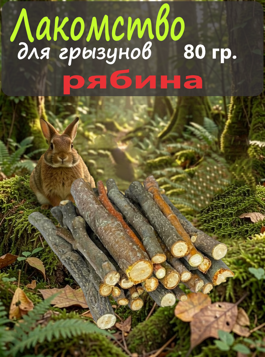 Веточки для грызунов рябина, древесные, экологичные, поддержание иммунитета, 12 шт. 80 гр.