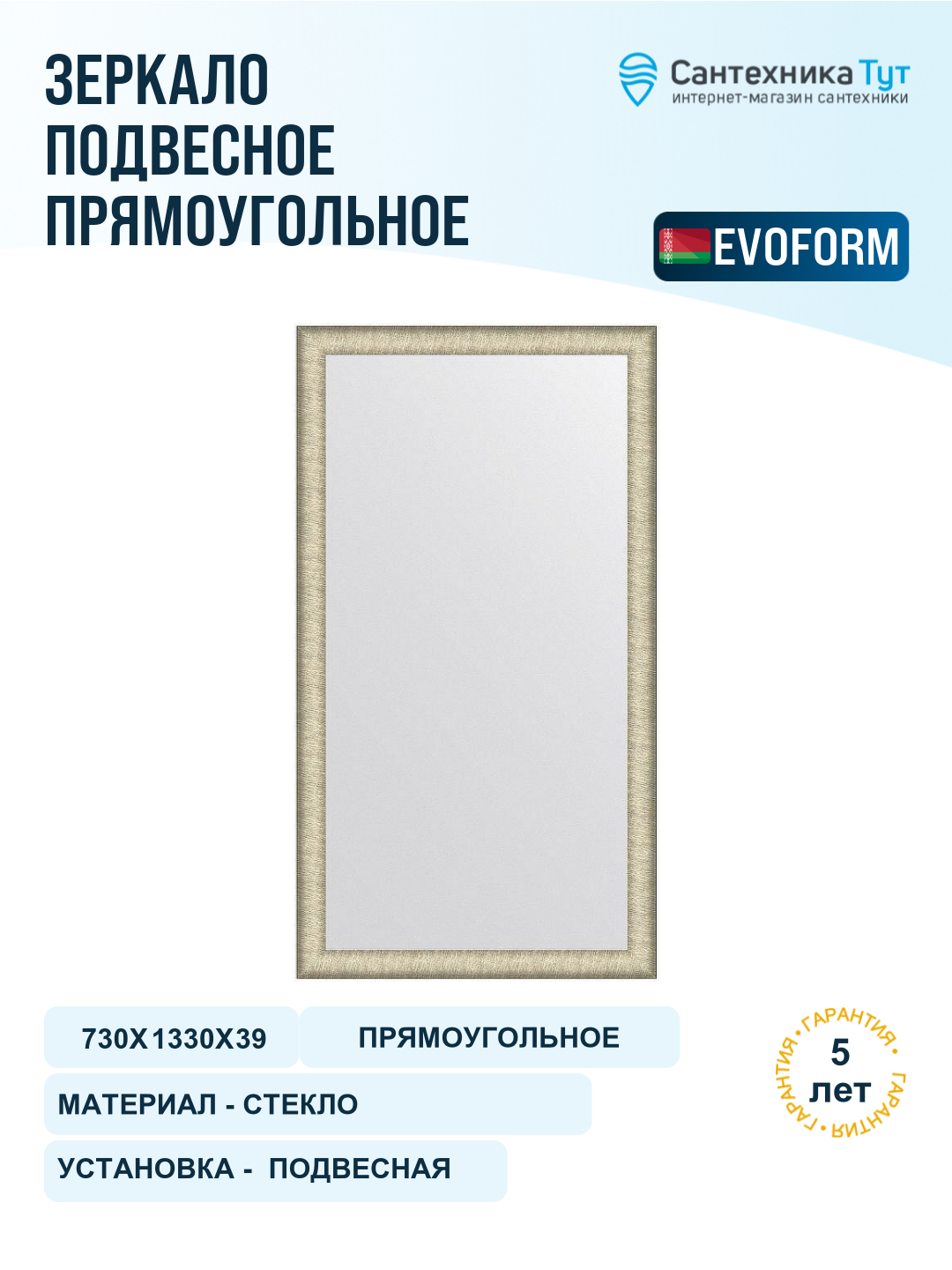 Зеркало Evoform Definite 133х73 BY 7612 в багетной раме - Брашированное серебро 59 мм