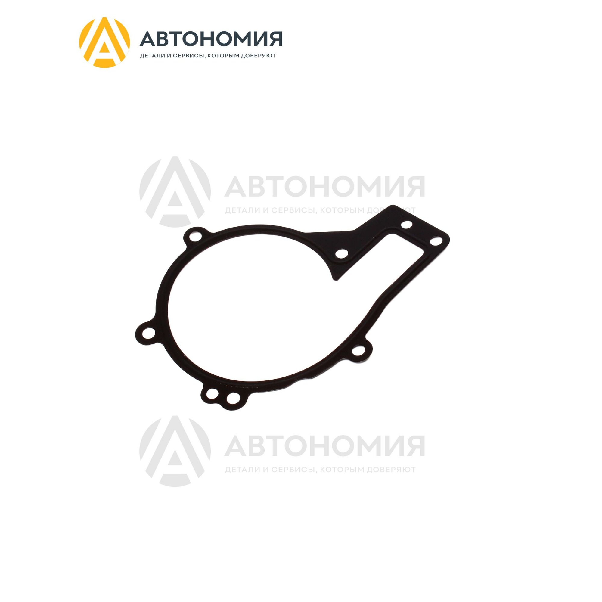 Прокладка водяного насоса Chery 484FC-1307041