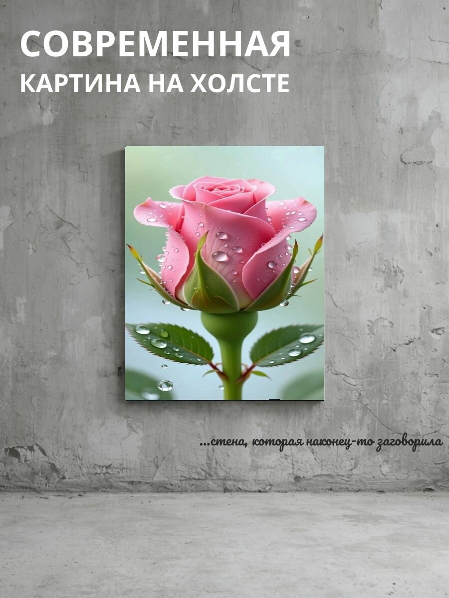 Картина на холсте Роза 60x80 см