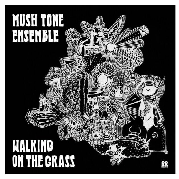 Mush Tone Ensemble - Walking On The Grass - новая виниловая пластинка