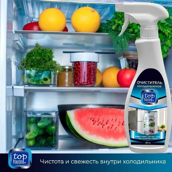 Чистящее средство Top House 181893