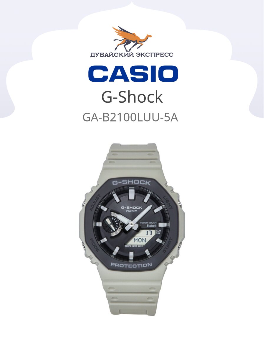  CASIO