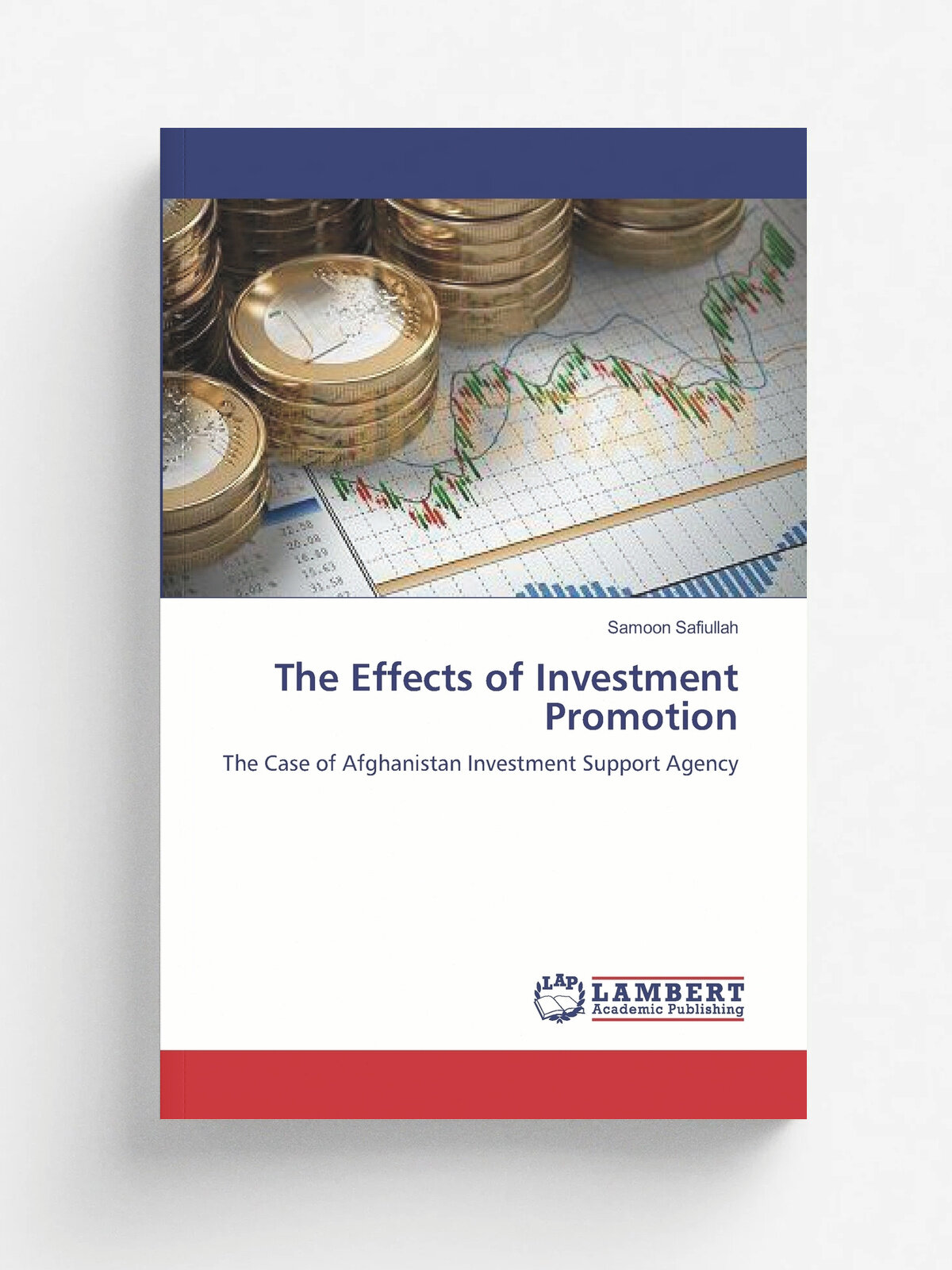 The Effects of Investment Promotion