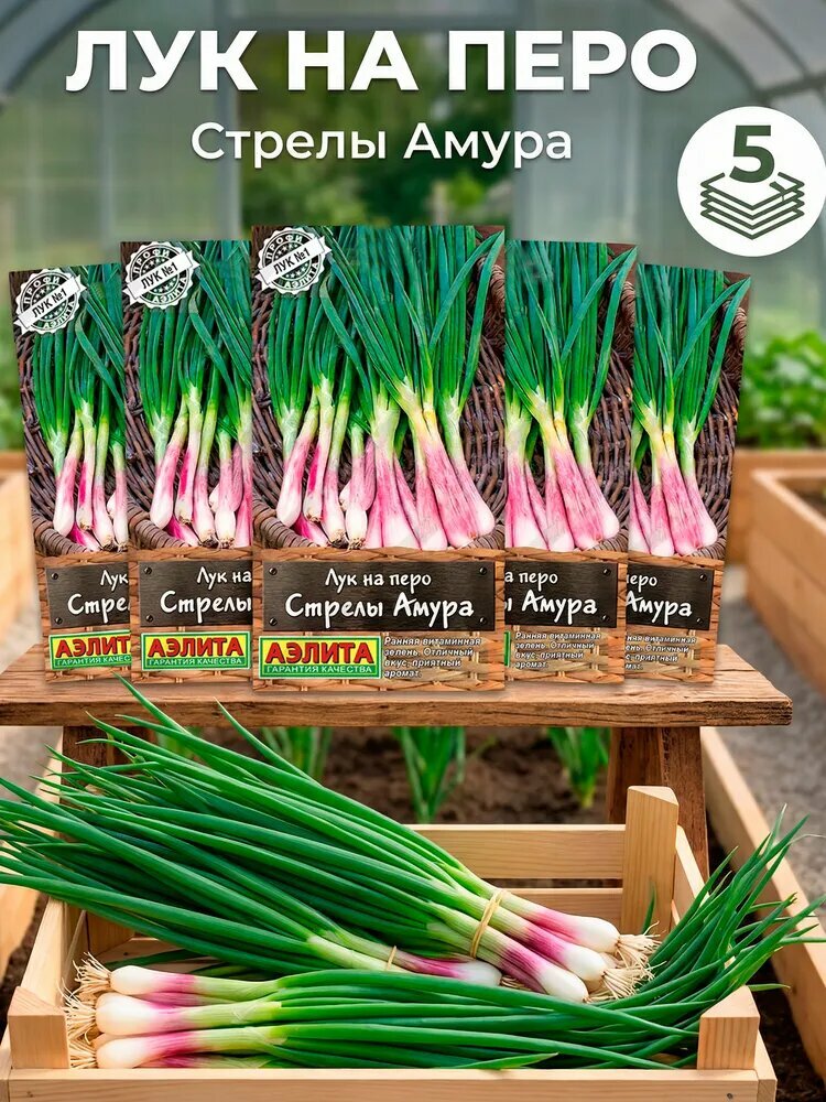 Лук многолетний семена для посадки зимостойкий