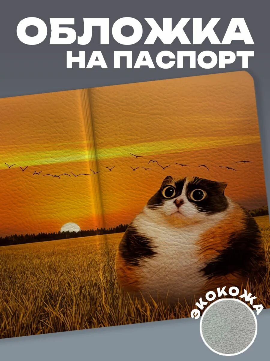 Обложка для паспорта