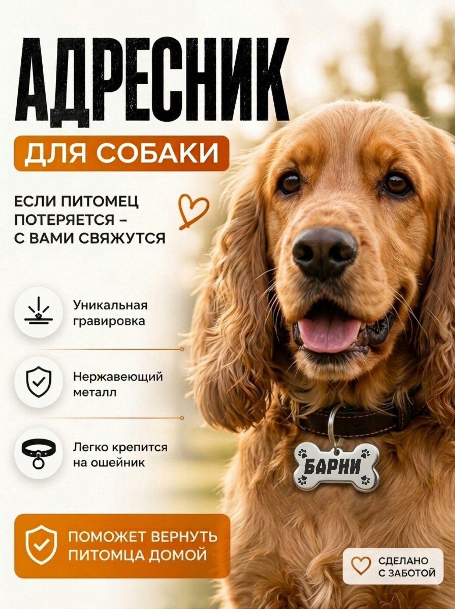 Адресник для собак с гравировкой Барни