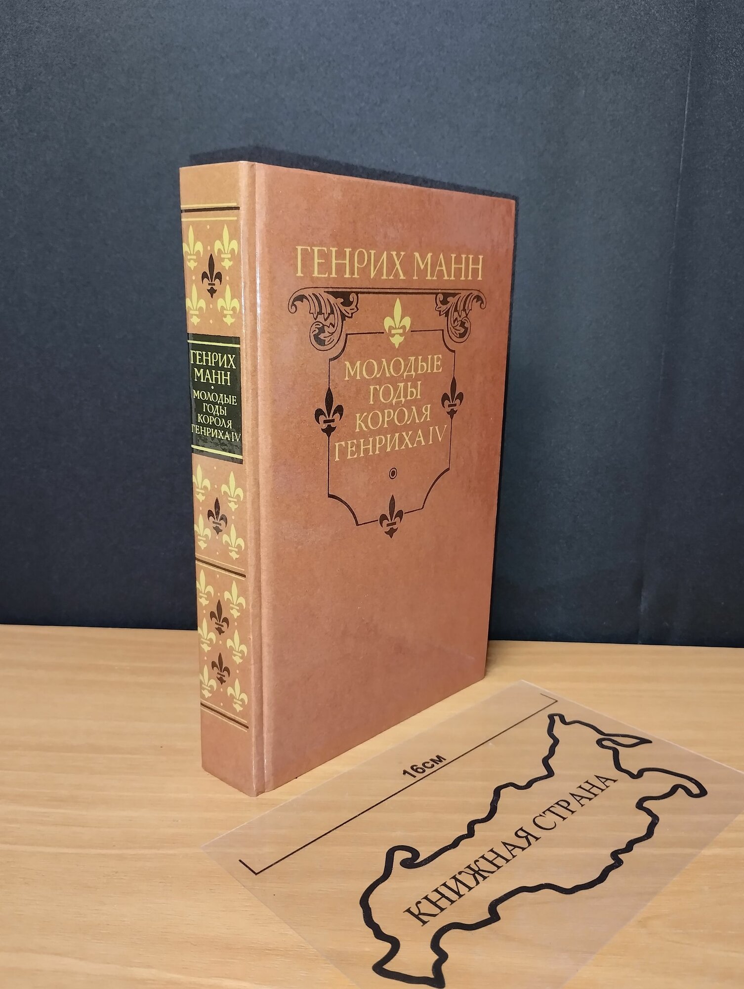 Молодые годы короля Генриха IV. Генрих Манн