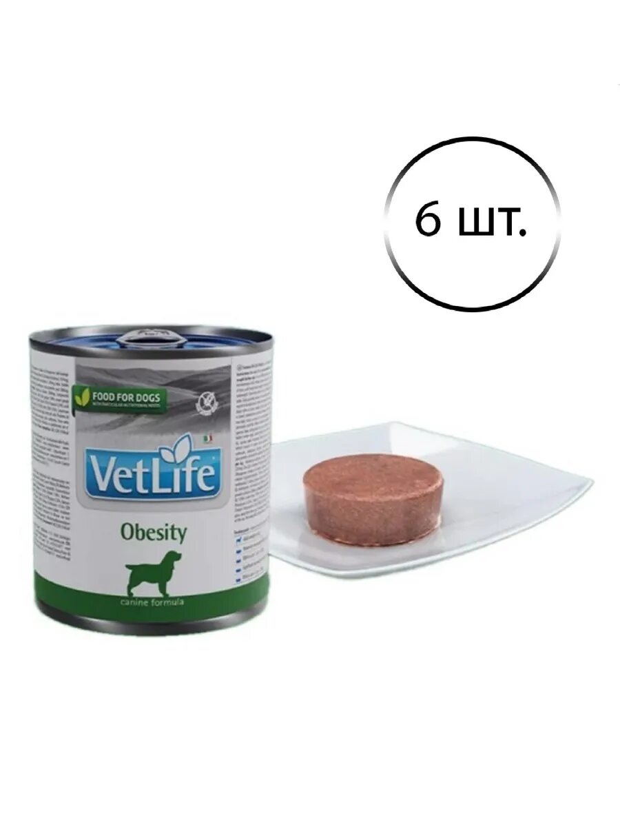 Влажный корм для собак Farmina Vet life Obesity, для снижения веса, 300 г (6 шт/кор)