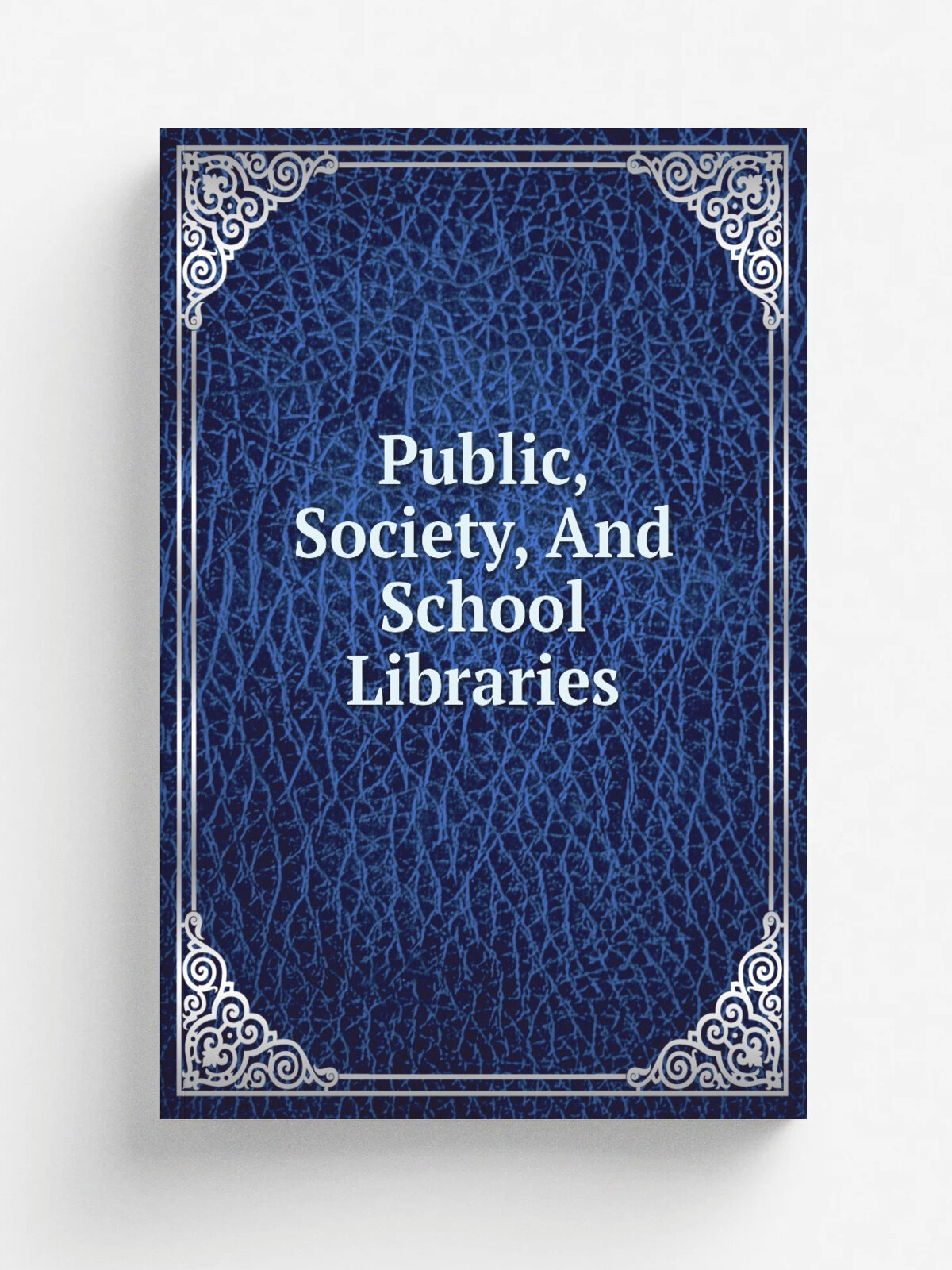 Public, Society, And School Libraries