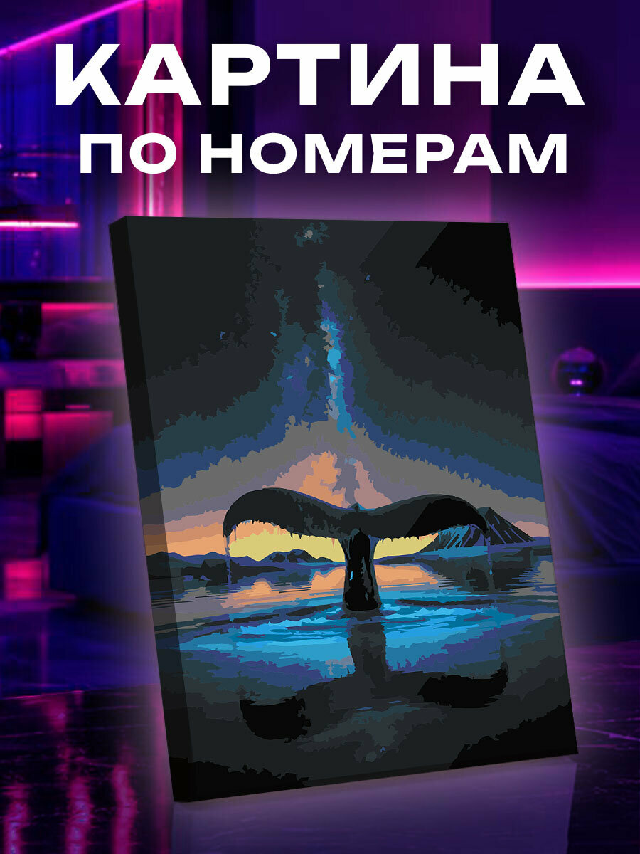 Картина по номерам Хвост под Млечным Путём