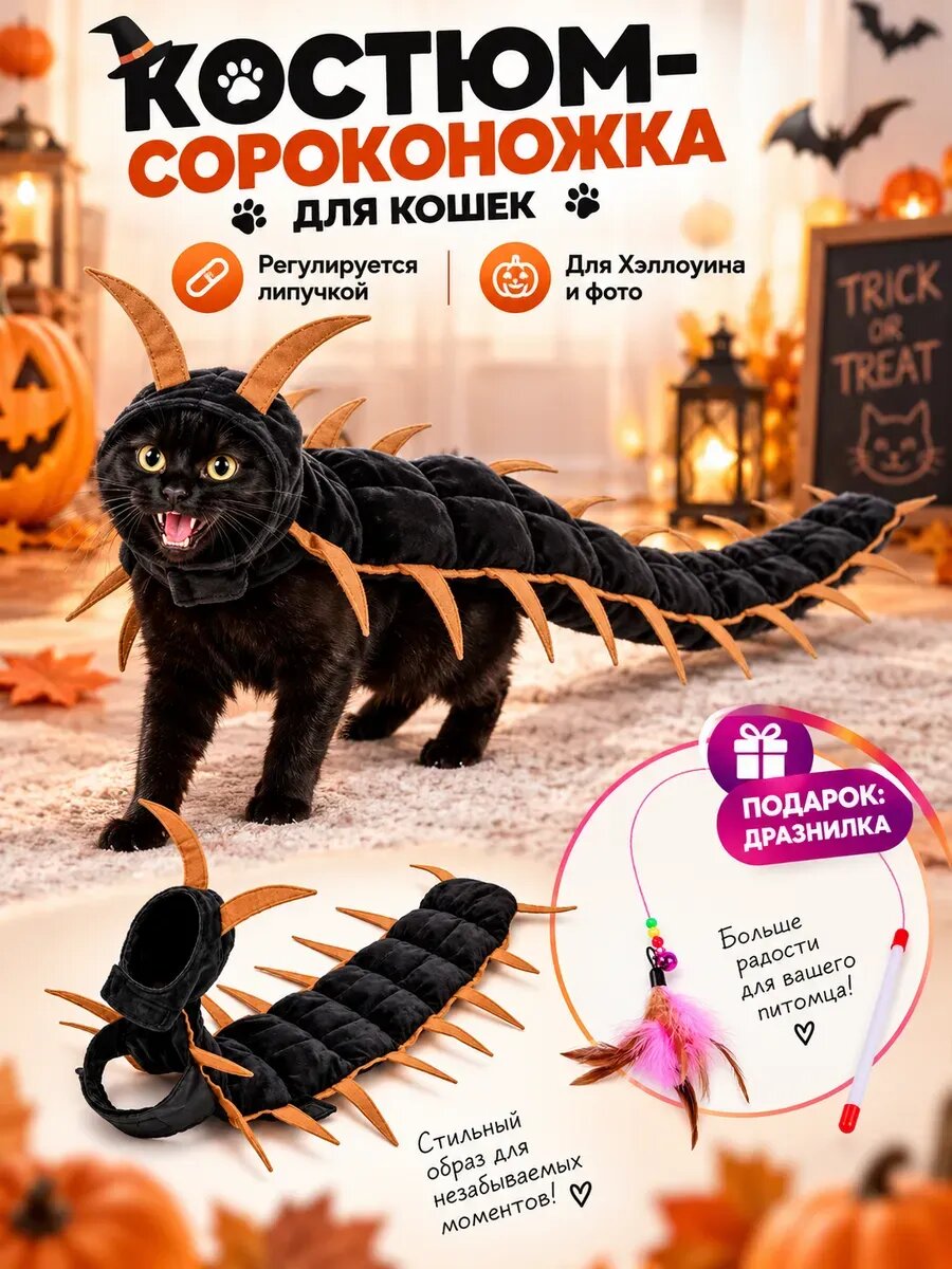 Костюм сороконожки для кошки, декоративная одежда