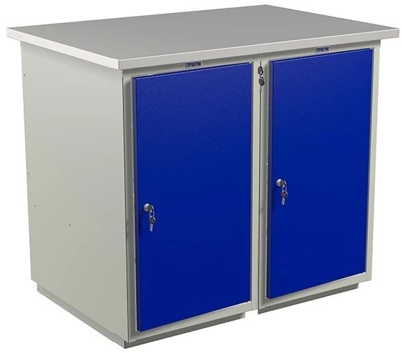 Верстак Практик Profi WT100. WD1/WD1.000