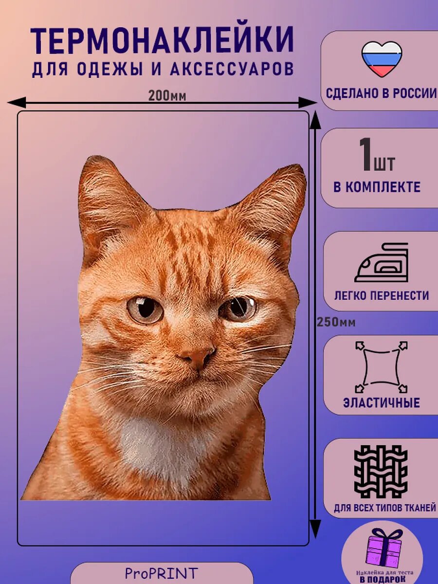 Термонаклейка для одежды