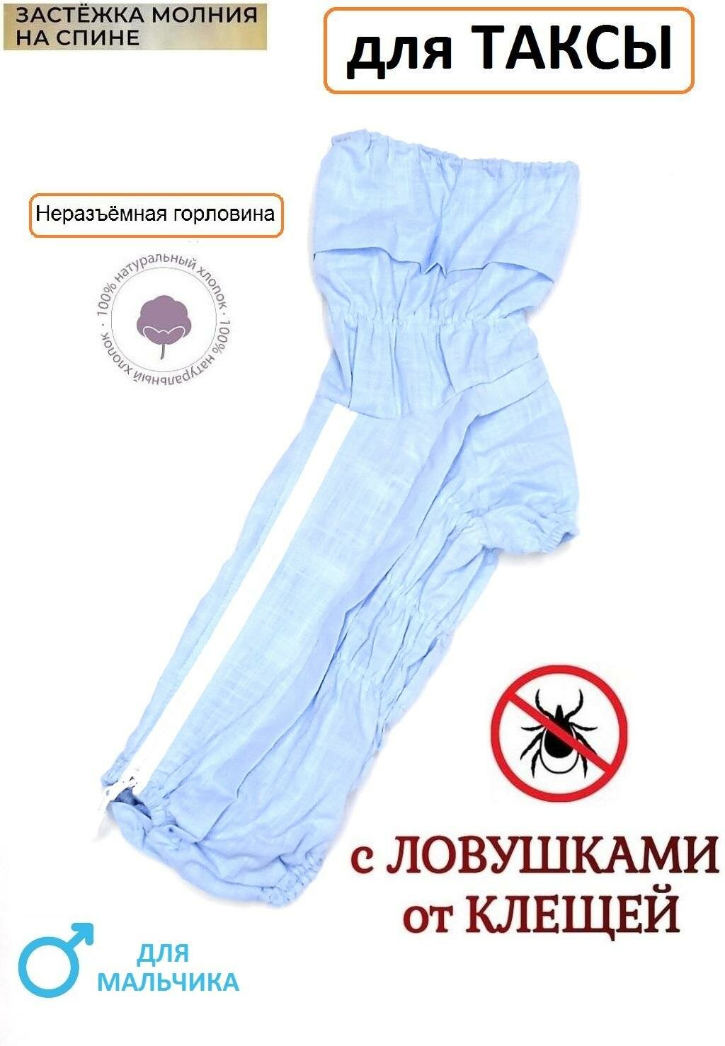 Комбинезон пыльник для такс от клещей с капором мальчик (32см мальчик)