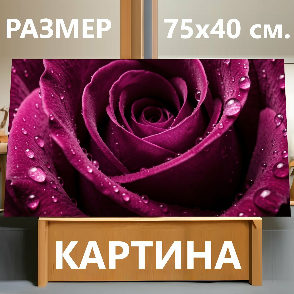 Картина на холсте "Бордовая роза с каплями росы. Макросъёмка алого цветка с бархатистыми лепестками, покрытыми прозрачными каплями воды." на подрамнике 75х40 см. для интерьера