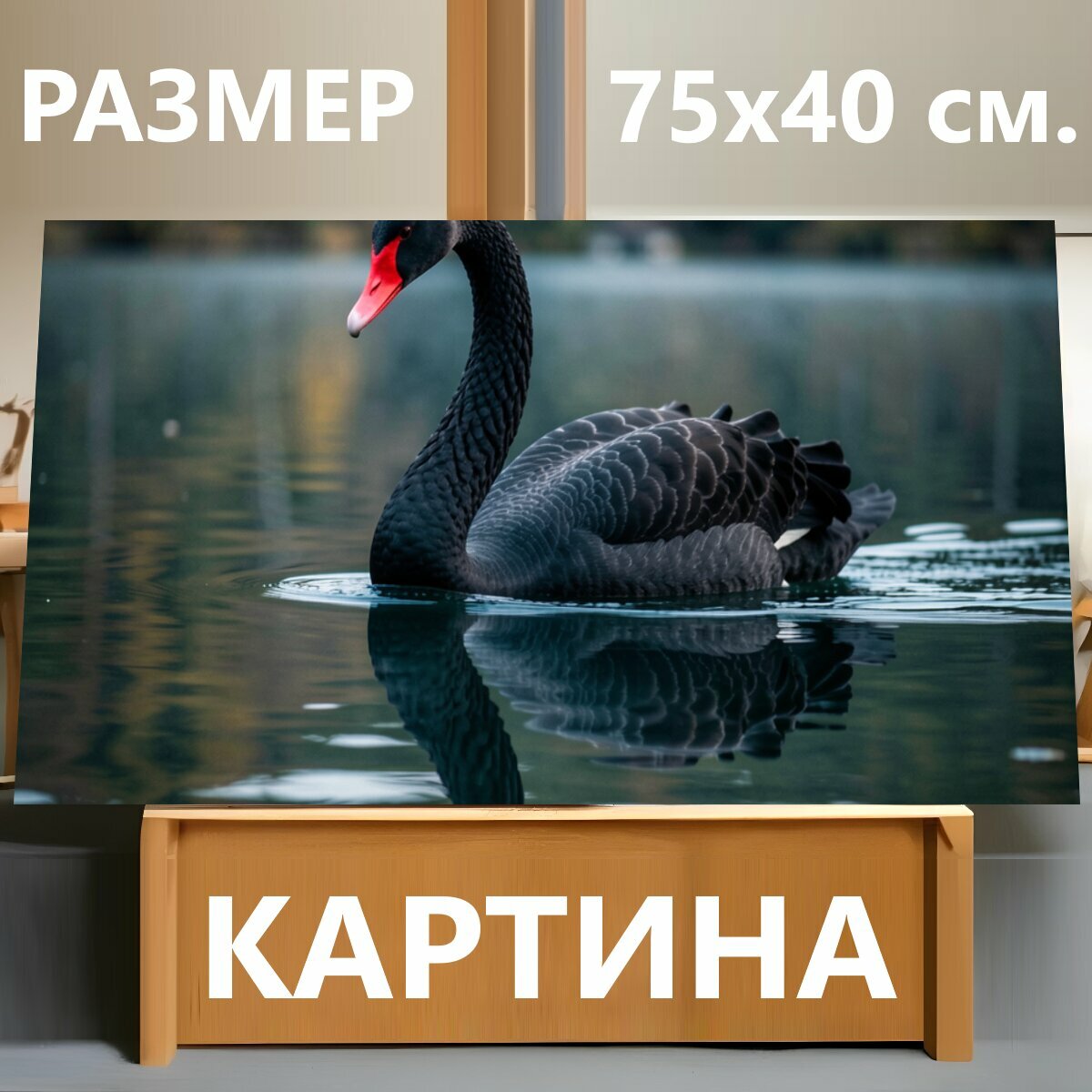 Картина на холсте "Черный лебедь на озере. Элегантная водоплавающая птица с красным клювом плывет по спокойной глади лесного водоема; темная." на подрамнике 75х40 см. для интерьера